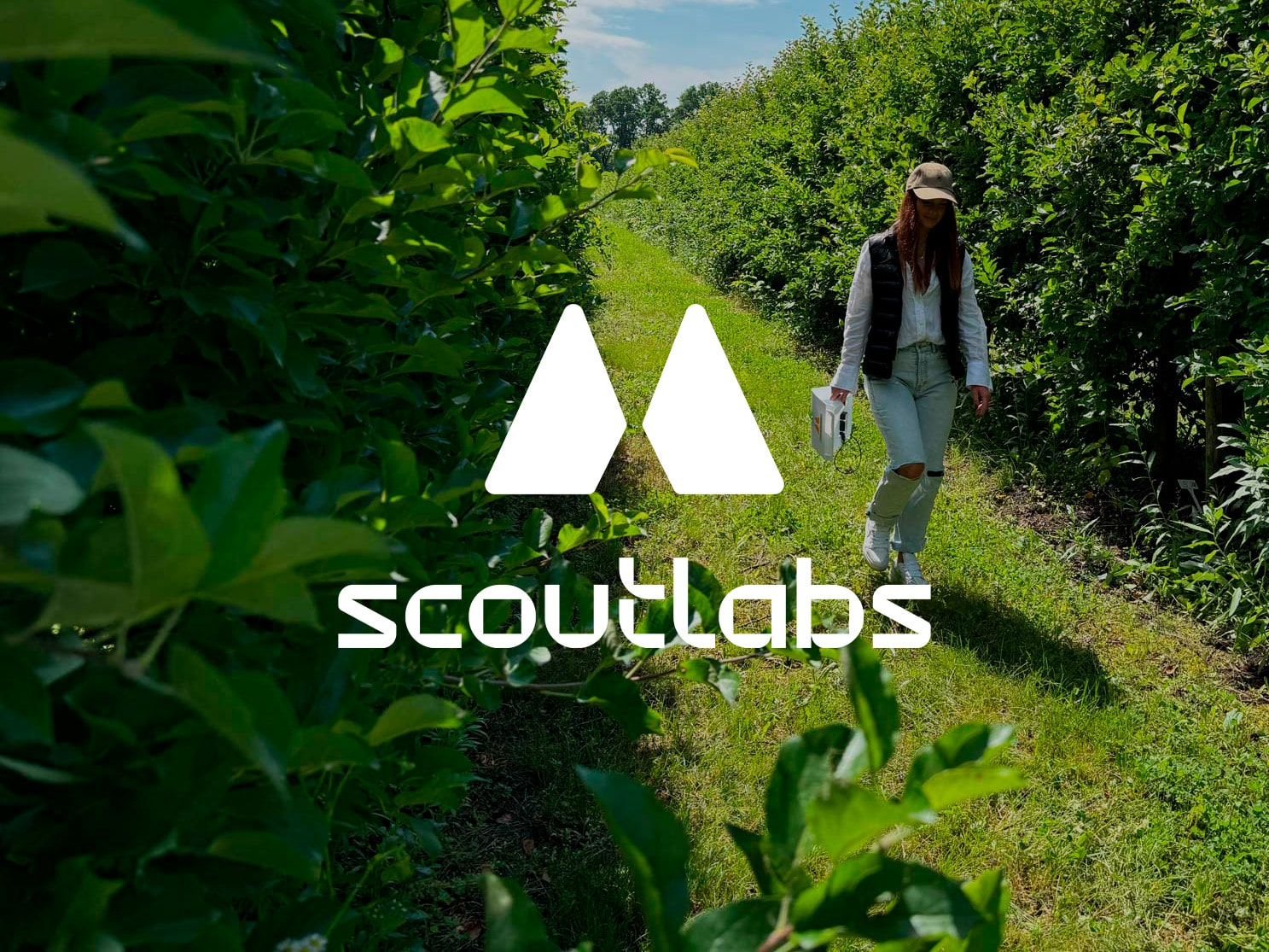 Manual trap network operators - scoutlabs