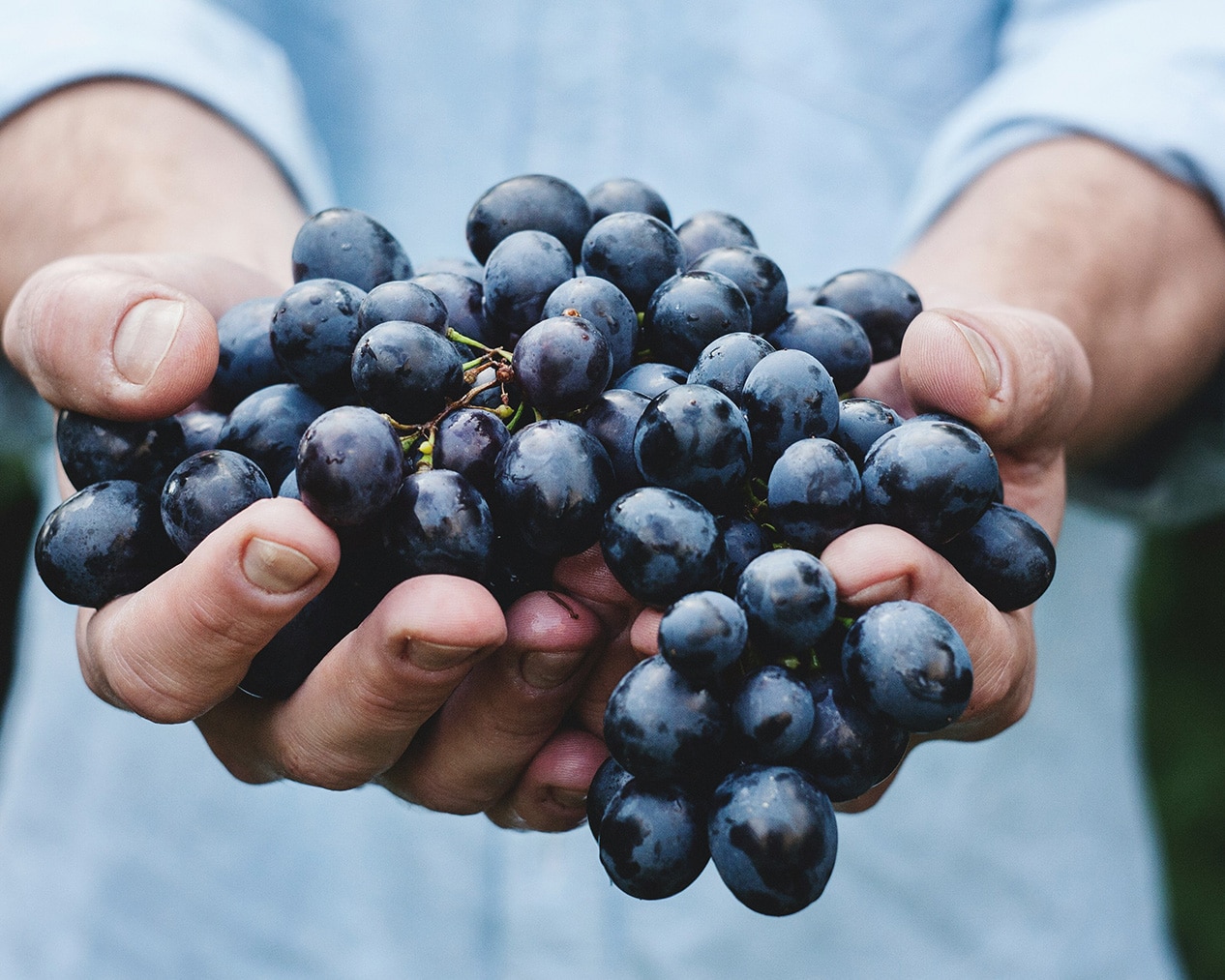 Tried-and-tested biopesticides examples every farmer should know ...