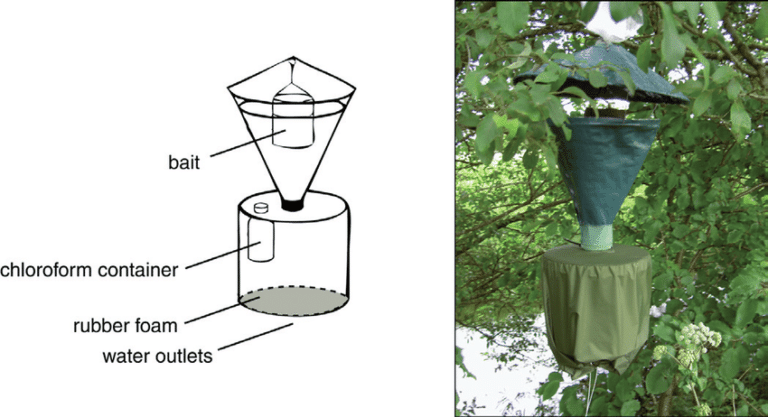Insect Traps Explained: A Practical Guide for Effective Pest Control on ...