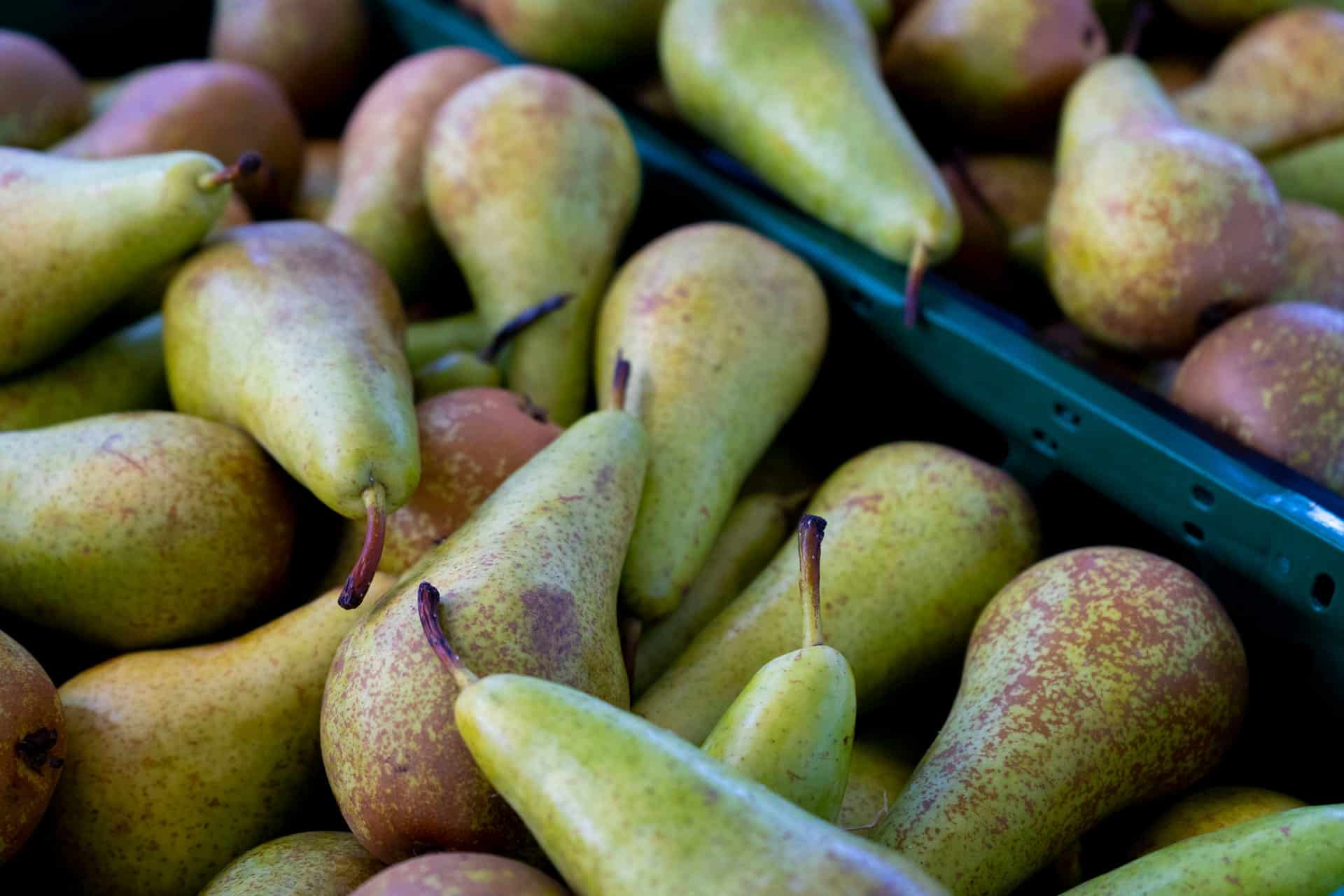 Pears - scoutlabs