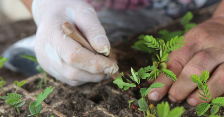 Agriculture Lingo 202: Advanced Terms Every Modern Farmer Should Know - scoutlabs