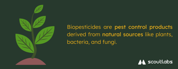 Tried-and-tested biopesticides examples every farmer should know ...